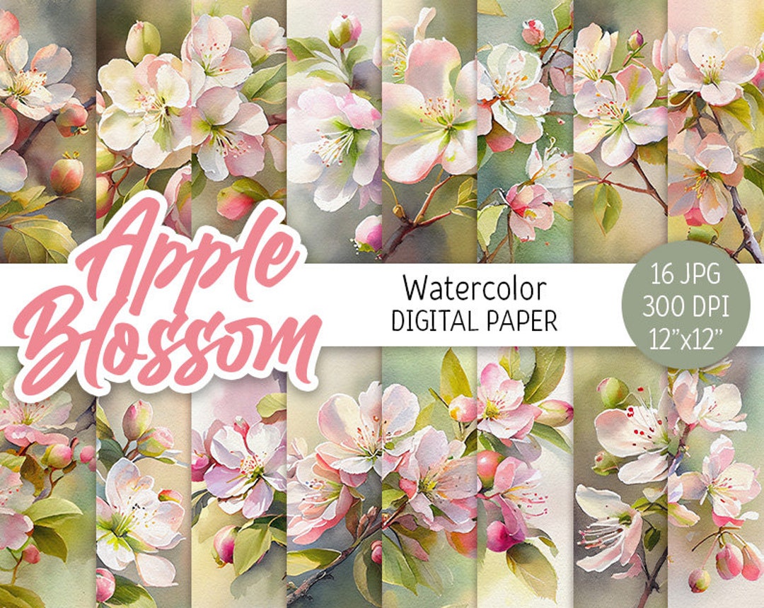 Watercolor Apple Blossom Digital Paper Pack Flower Bloom Printable ...
