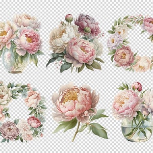 Watercolor Pink Peonies Clipart White Peony Bundle PNG Sublimation ...