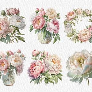Watercolor Pink Peonies Clipart White Peony Bundle PNG Sublimation ...