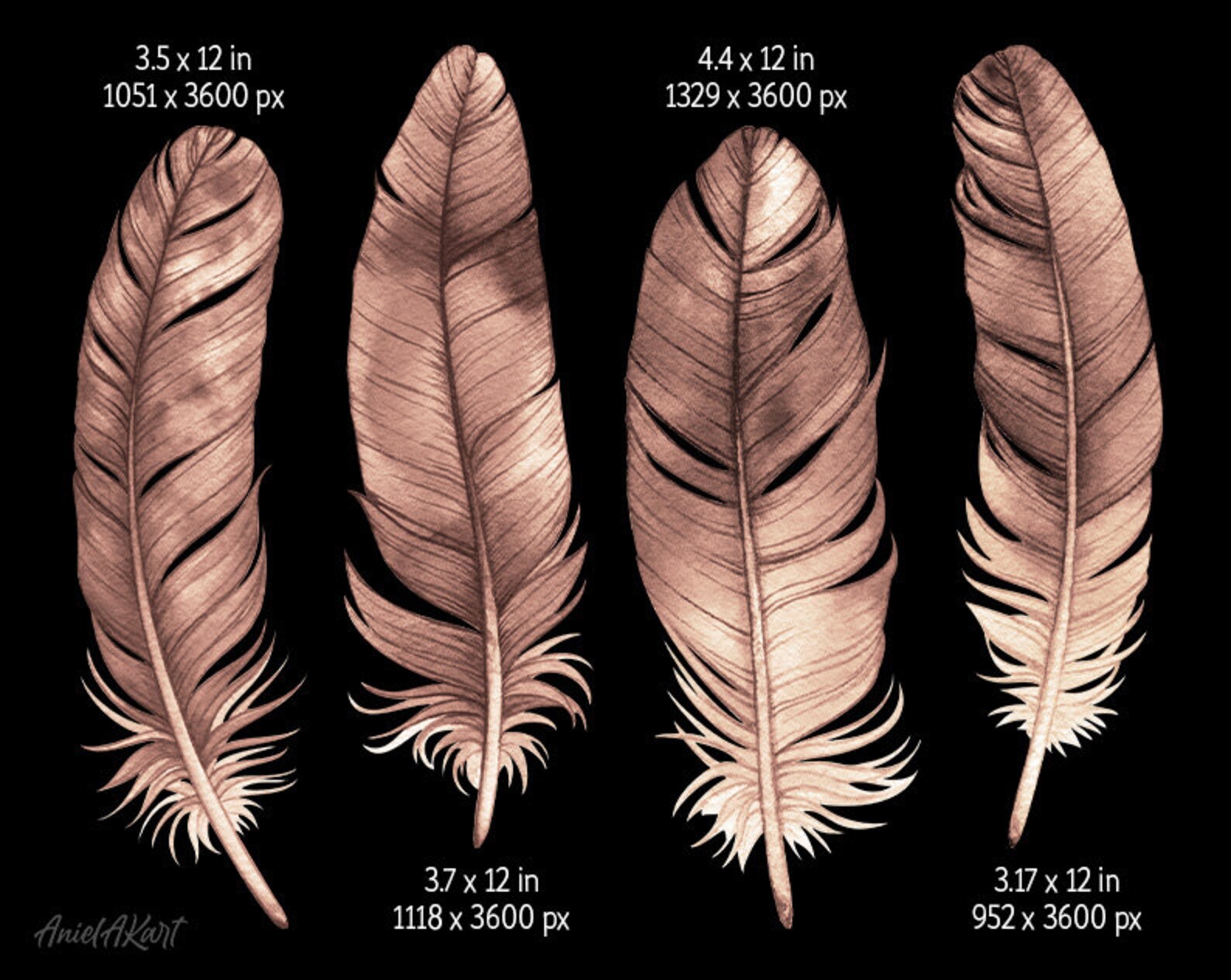 Watercolor Brown Feather Clipart Exotic Boho Hand Painted - Etsy