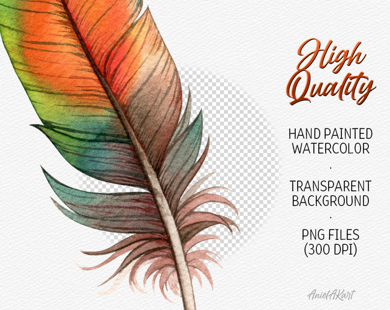 Watercolor Feather Clipart Exotic Boho Set Hand Painted - Etsy