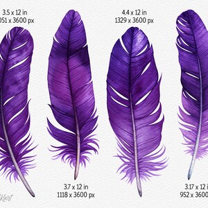 Watercolor Purple Feather Clipart Exotic Boho Hand Painted Bohemian ...