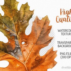 Watercolor Autumn Leaves Clipart Fall Leaf PNG Fall Decor Thanksgiving ...