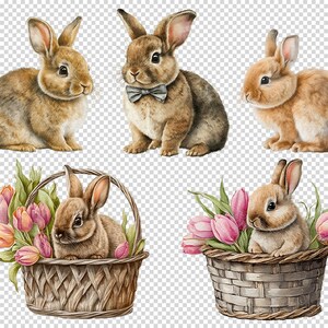 Watercolor Easter Bunny Clipart Bundle, Easter Clipart, Spring Clipart ...