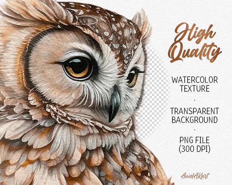 Watercolor Owl Clipart Owl PNG Owl Sublimation Owl Boho Png - Etsy