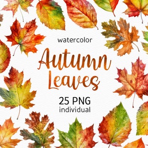 Watercolor Autumn Leaves Clipart Fall Leaf PNG Fall Decor Thanksgiving ...