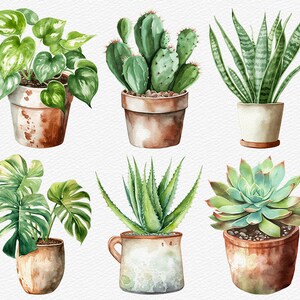 Watercolor House Plants Clipart Potted Plants PNG Bundle Greenery Clip ...