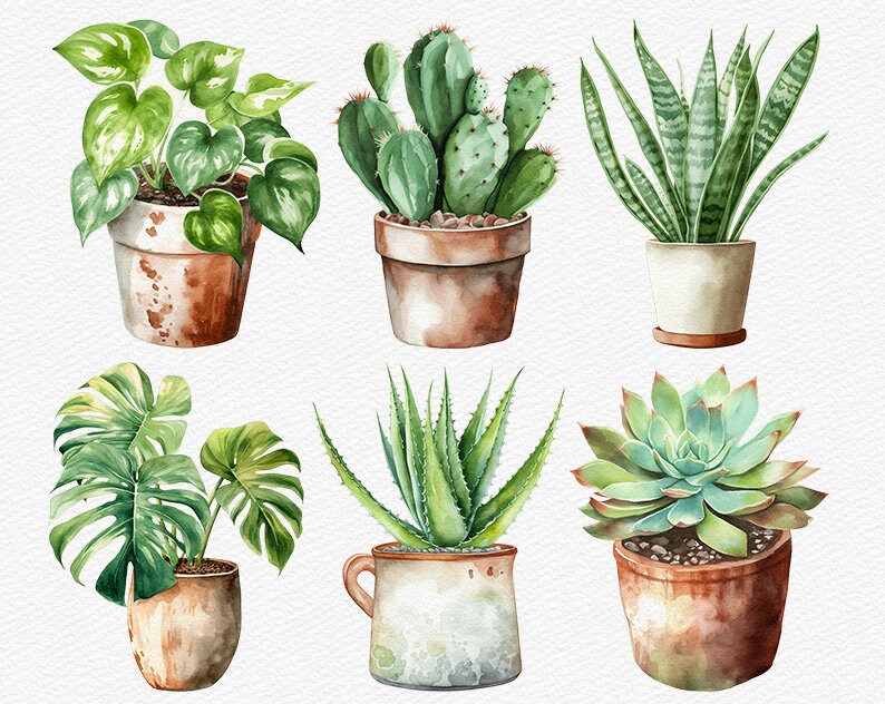Watercolor House Plants Clipart Potted Plants PNG Bundle Greenery Clip ...