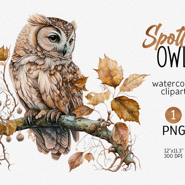Digital Owl Clipart - Etsy