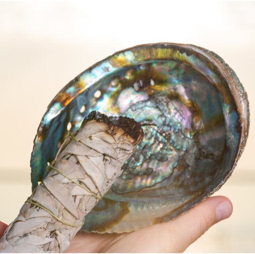 Life of Gaia Sacred Sage Smudge Kit, White Sage, Cedar, Flower and ...