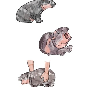 Baby Hippo Mood | Moo Deng | Handcrafted Greeting Card - Etsy