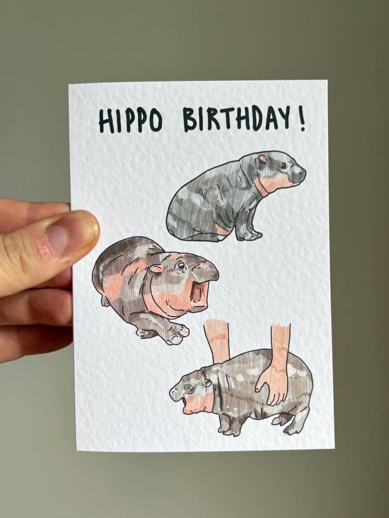Baby Hippo Birthday | Moo Deng | Handcrafted Birthday Card - Etsy
