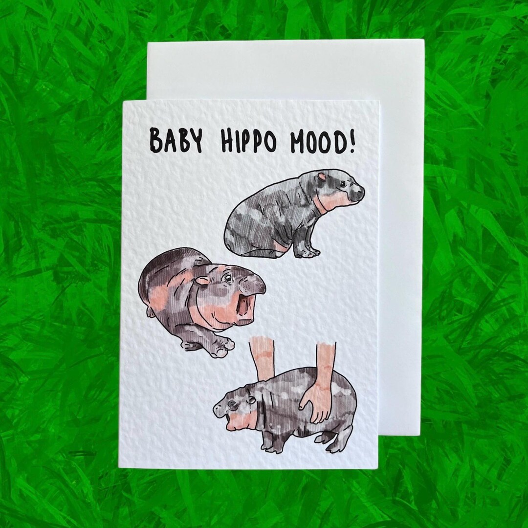 Baby Hippo Mood | Moo Deng | Handcrafted Greeting Card - Etsy