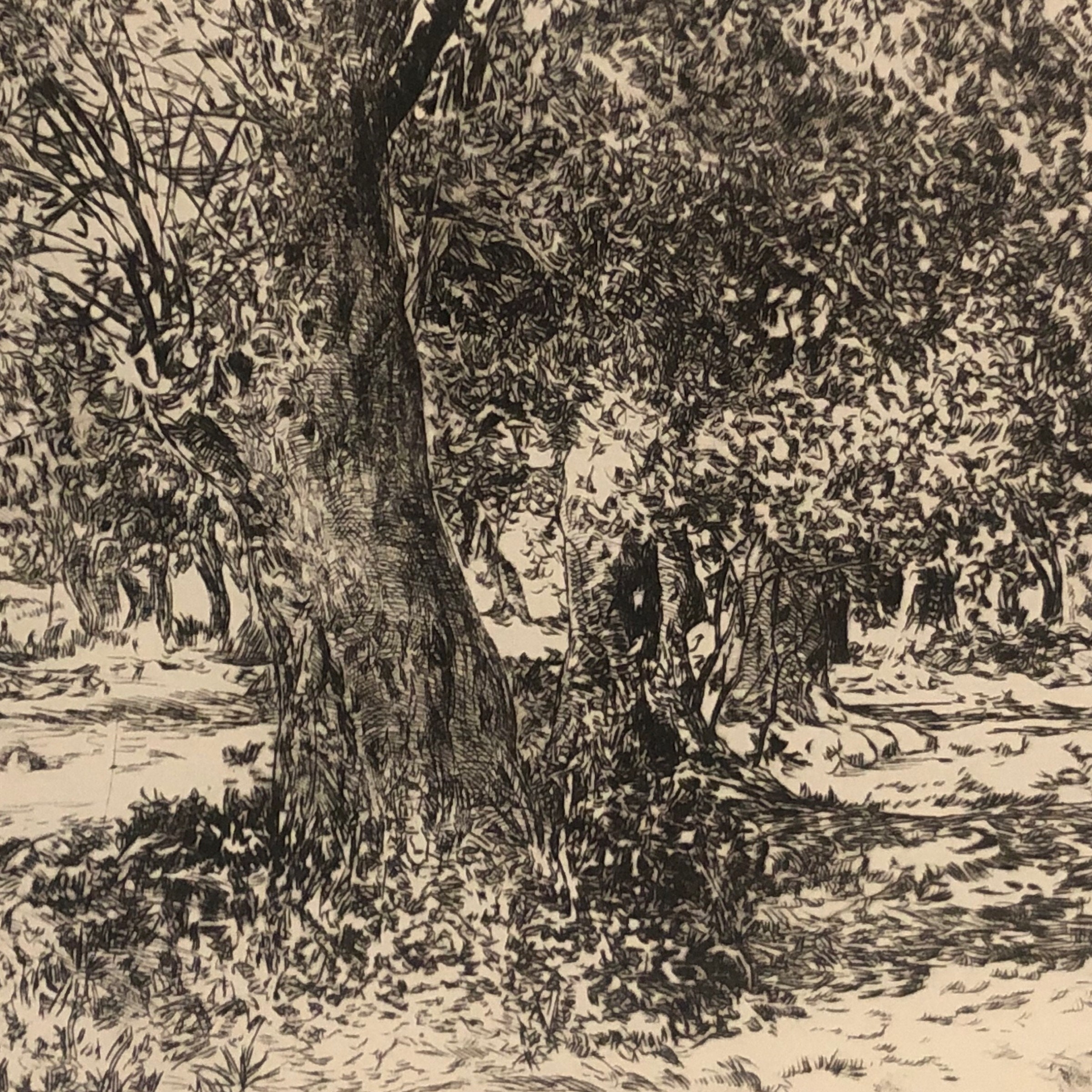 Original Etching garden of Olives 1, 20.5x29cm, Print 2/50 - Etsy