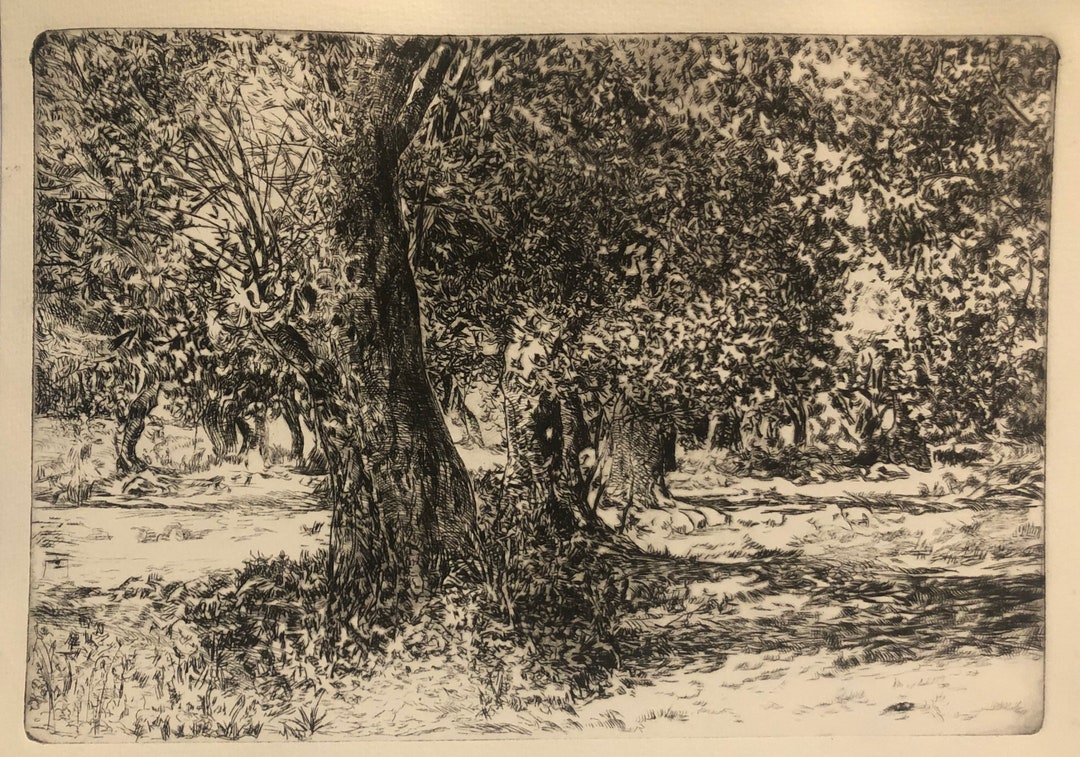 Original Etching garden of Olives 1, 20.5x29cm, Print 2/50 - Etsy