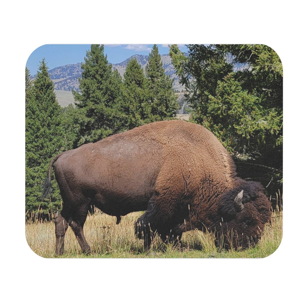Yellowstone Buffalo Mouse Pad rectangle - Etsy