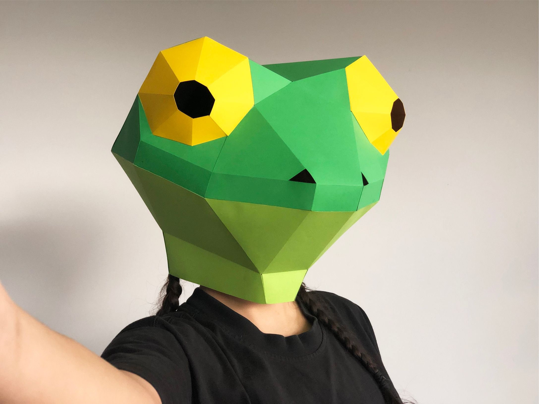 DIY Frog Mask: Craft Your Own With a Low Poly Template and Easy ...