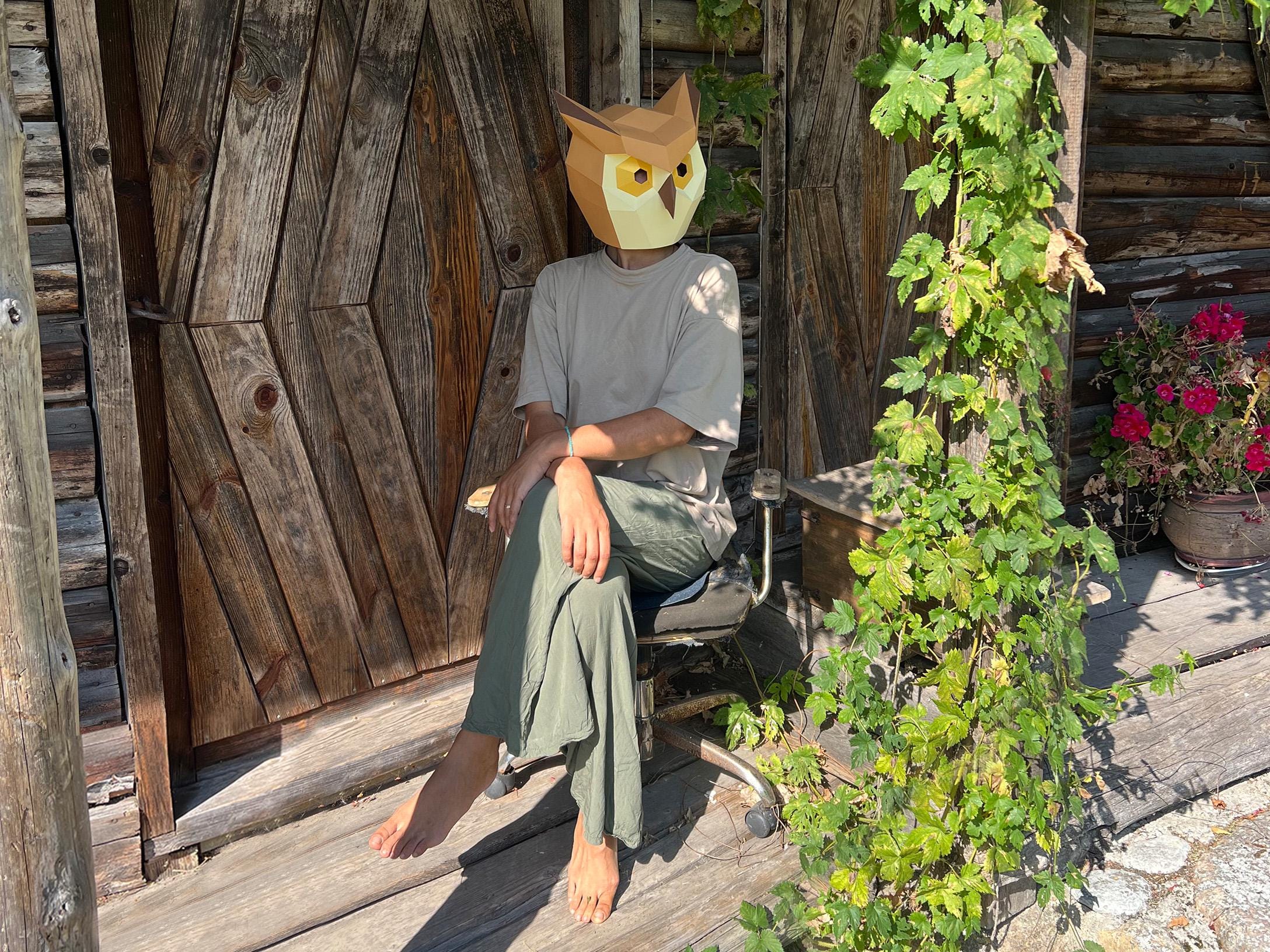 DIY Owl Mask: Craft Your Own Funny and Playful Owl. After Purchase ...