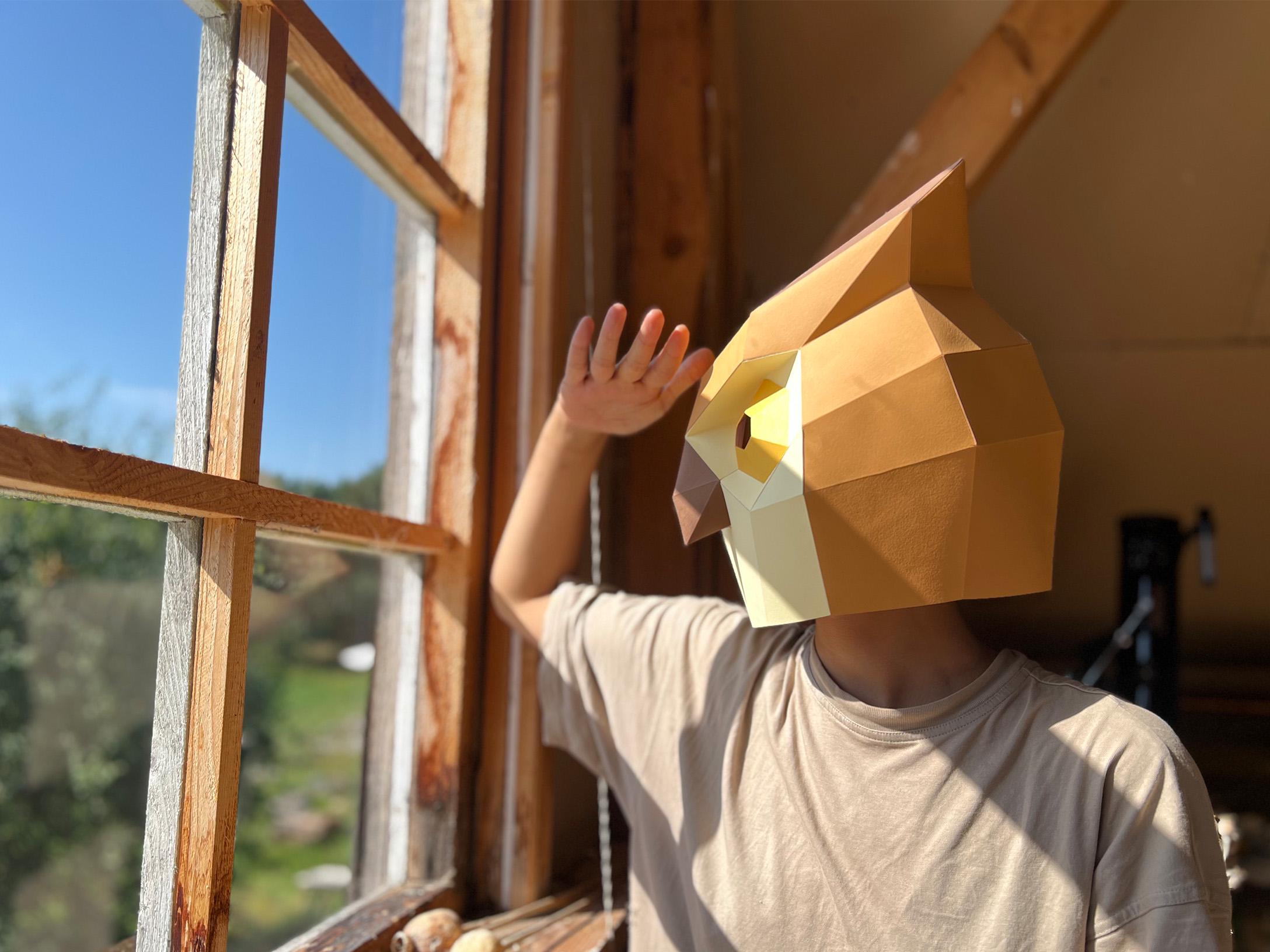 DIY Owl Mask: Craft Your Own Funny and Playful Owl. After Purchase ...