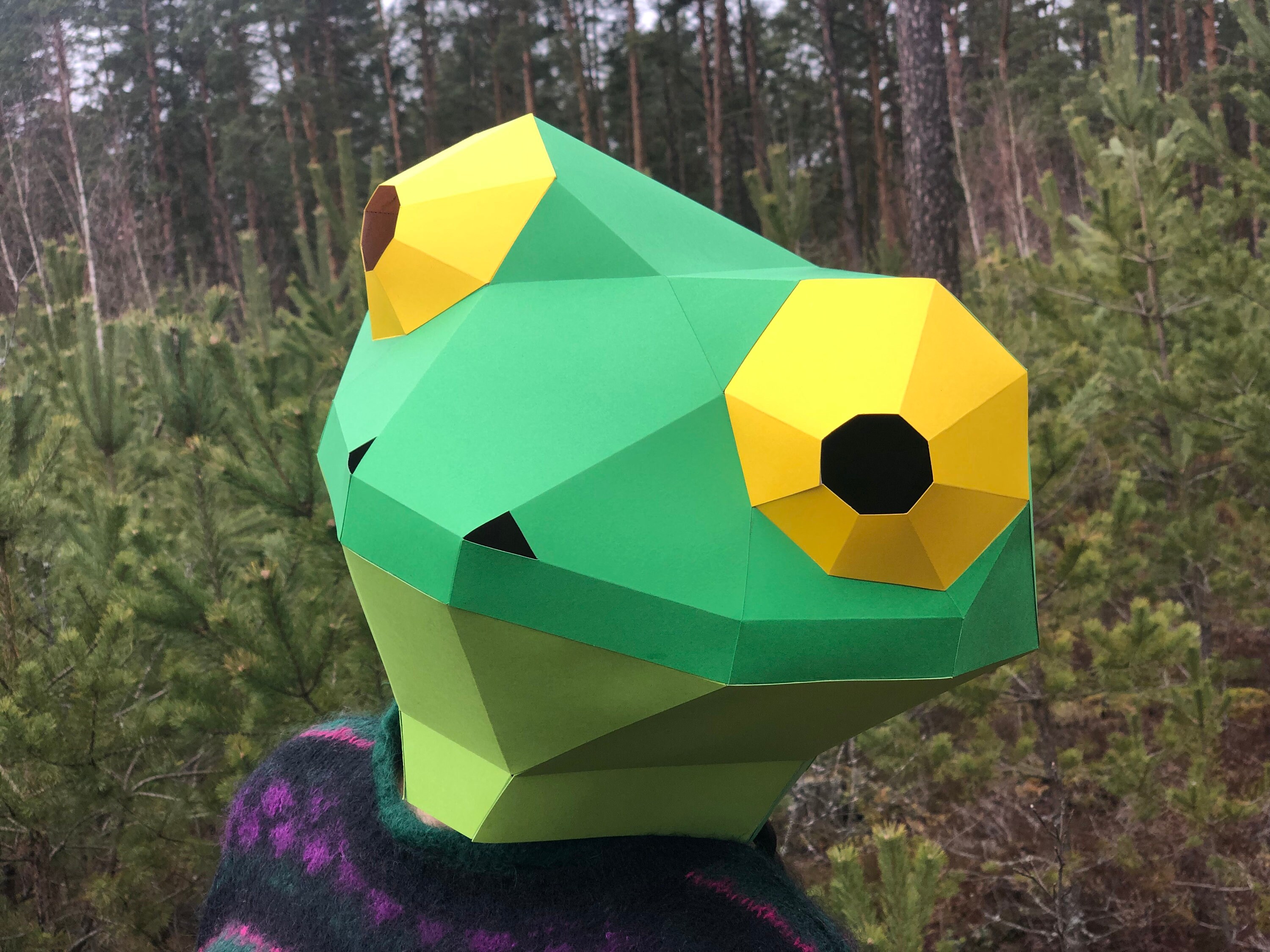 DIY Frog Mask: Craft Your Own With a Low Poly Template and Easy ...