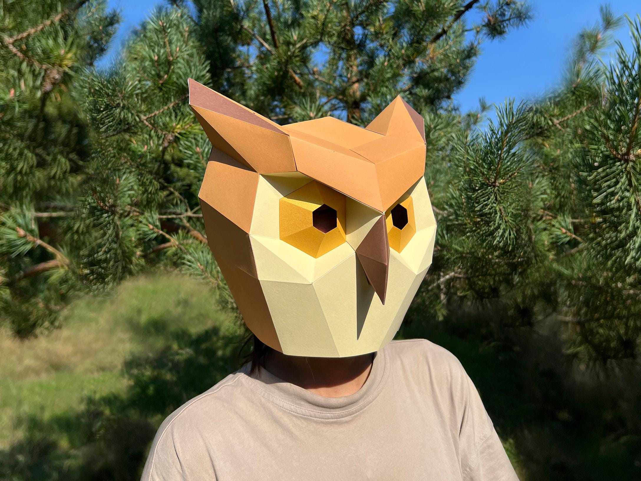 DIY Owl Mask: Craft Your Own Funny and Playful Owl. After Purchase ...