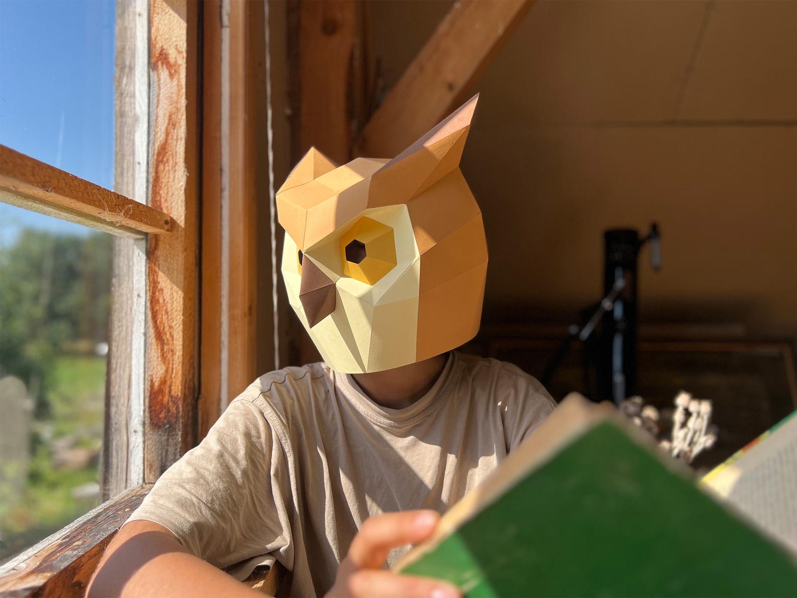 DIY Owl Mask: Craft Your Own Funny and Playful Owl. After Purchase ...