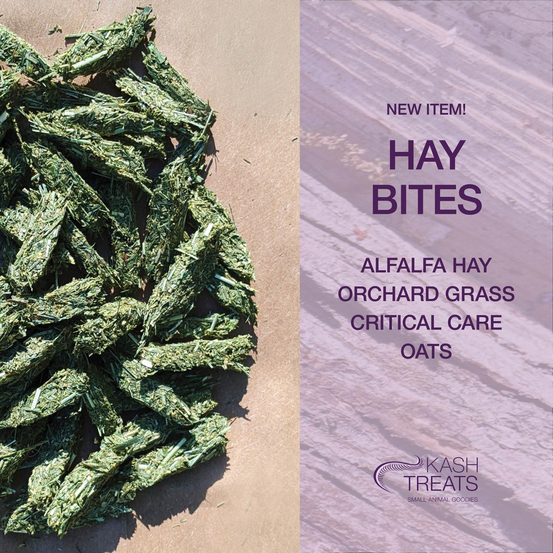 Hay Treats 1 Oz Hay Bites Small Animal Treats Kash - Etsy
