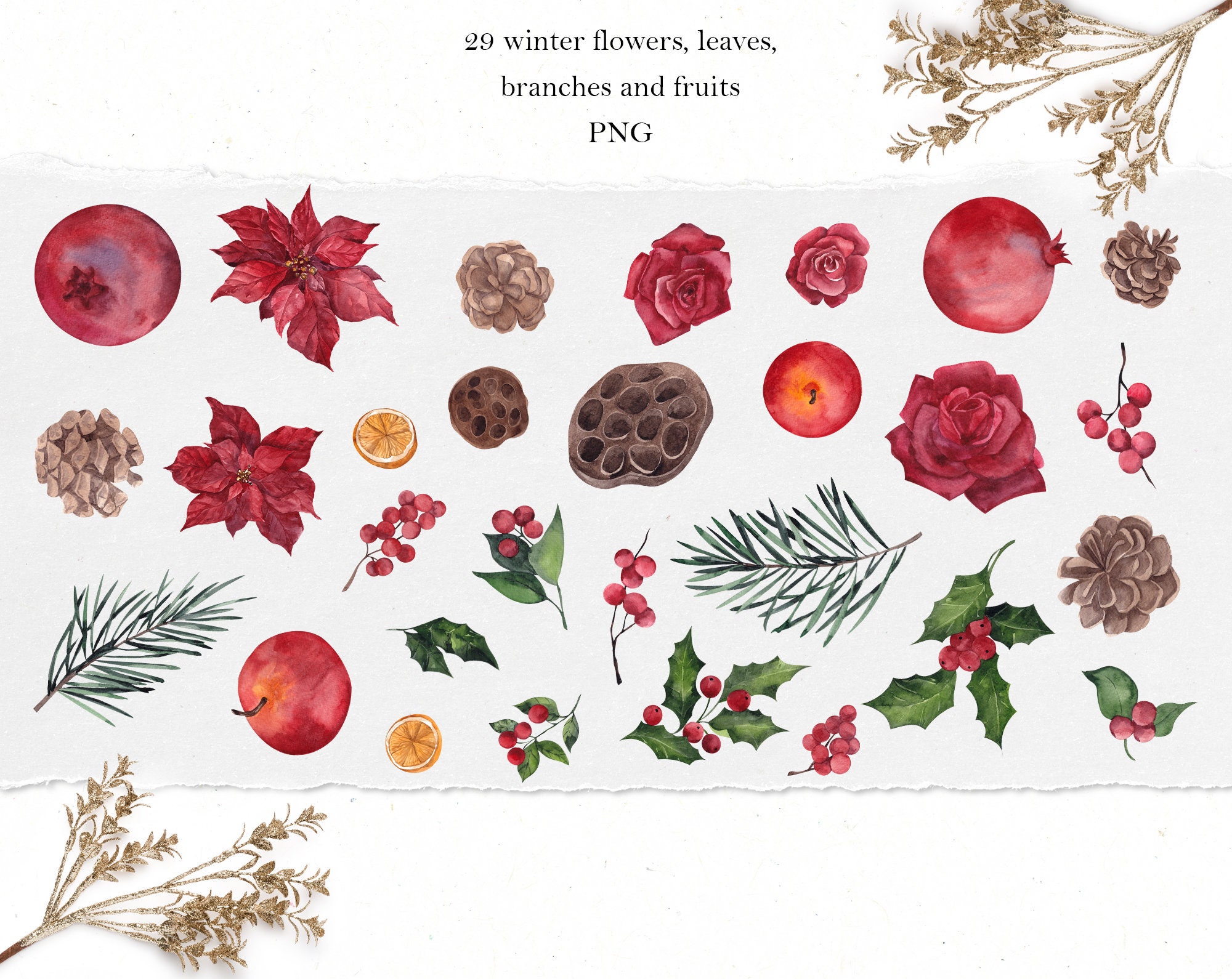 Watercolor Christmas Clipart. Floral Clipart. Watercolor | Etsy