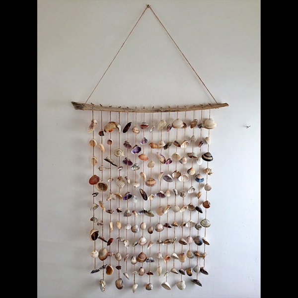 Seashell Wall Decor - Etsy
