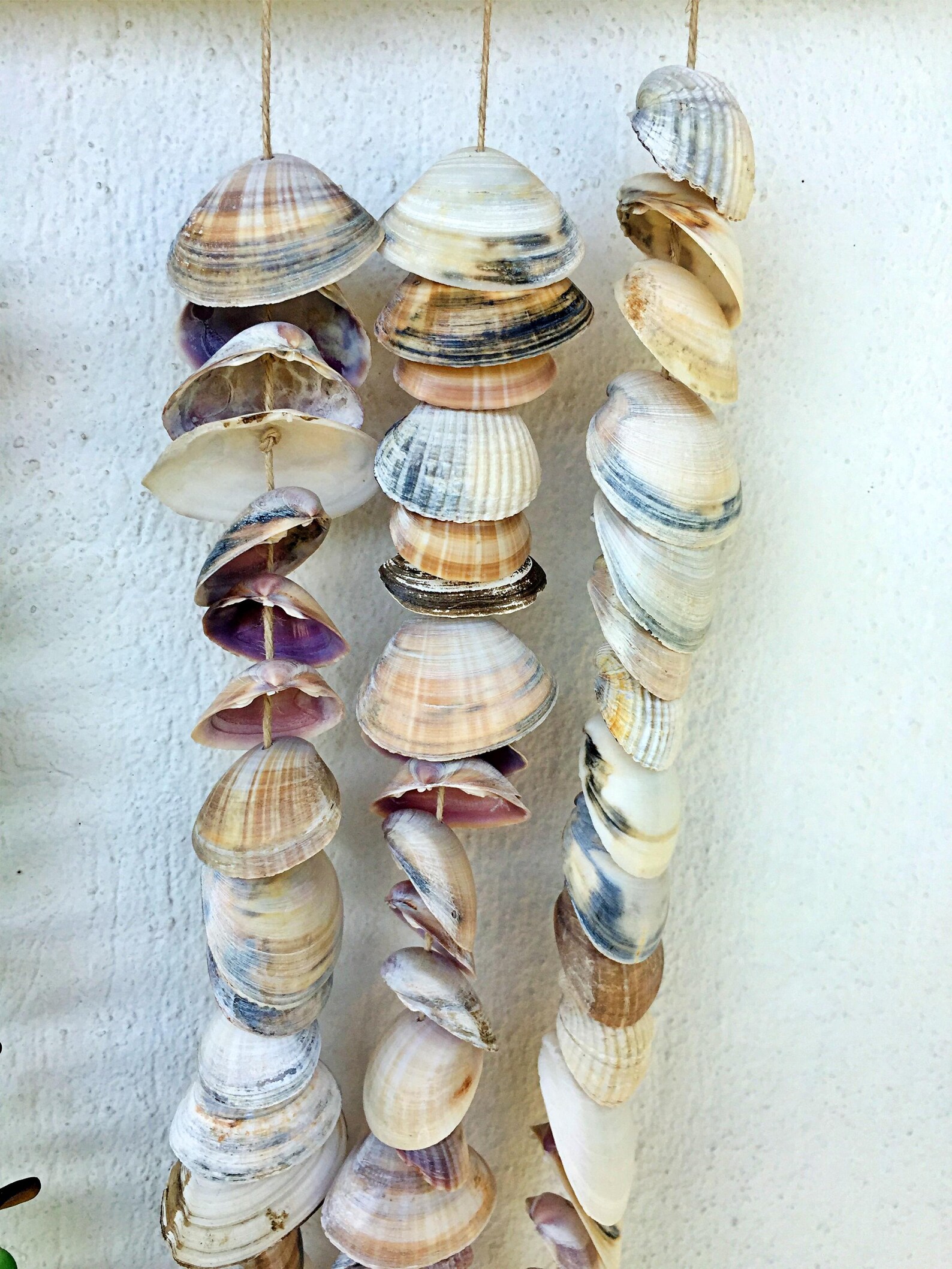 Seashell Wall Hanging, Wall Hangings, Nautical Wall Hanging, Coastal ...