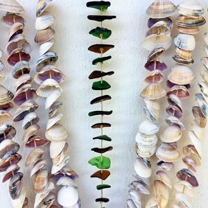 Seashell Wall Hanging, Wall Hangings, Nautical Wall Hanging, Coastal ...