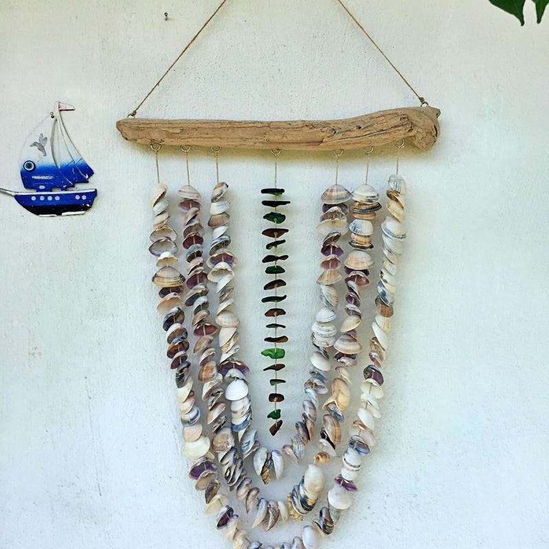 Seashell Wall Decor - Etsy