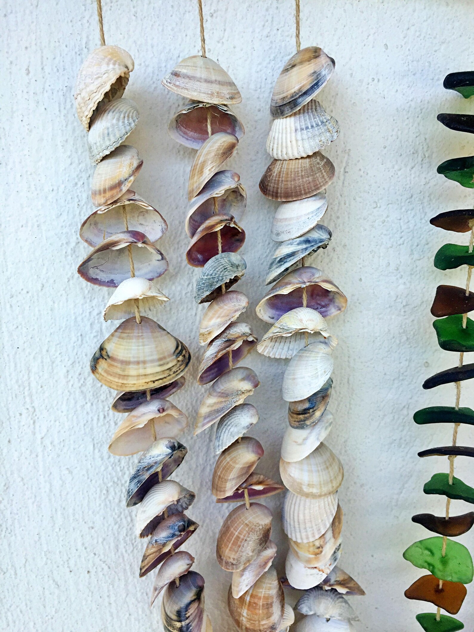 Seashell Wall Hanging, Wall Hangings, Nautical Wall Hanging, Coastal ...
