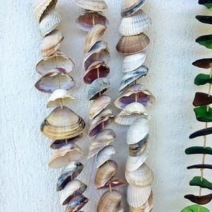 Seashell Wall Hanging, Wall Hangings, Nautical Wall Hanging, Coastal ...