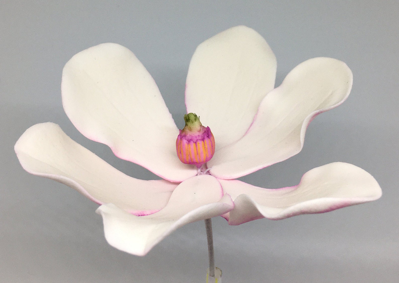 Northern Magnolia Gumpaste - Etsy
