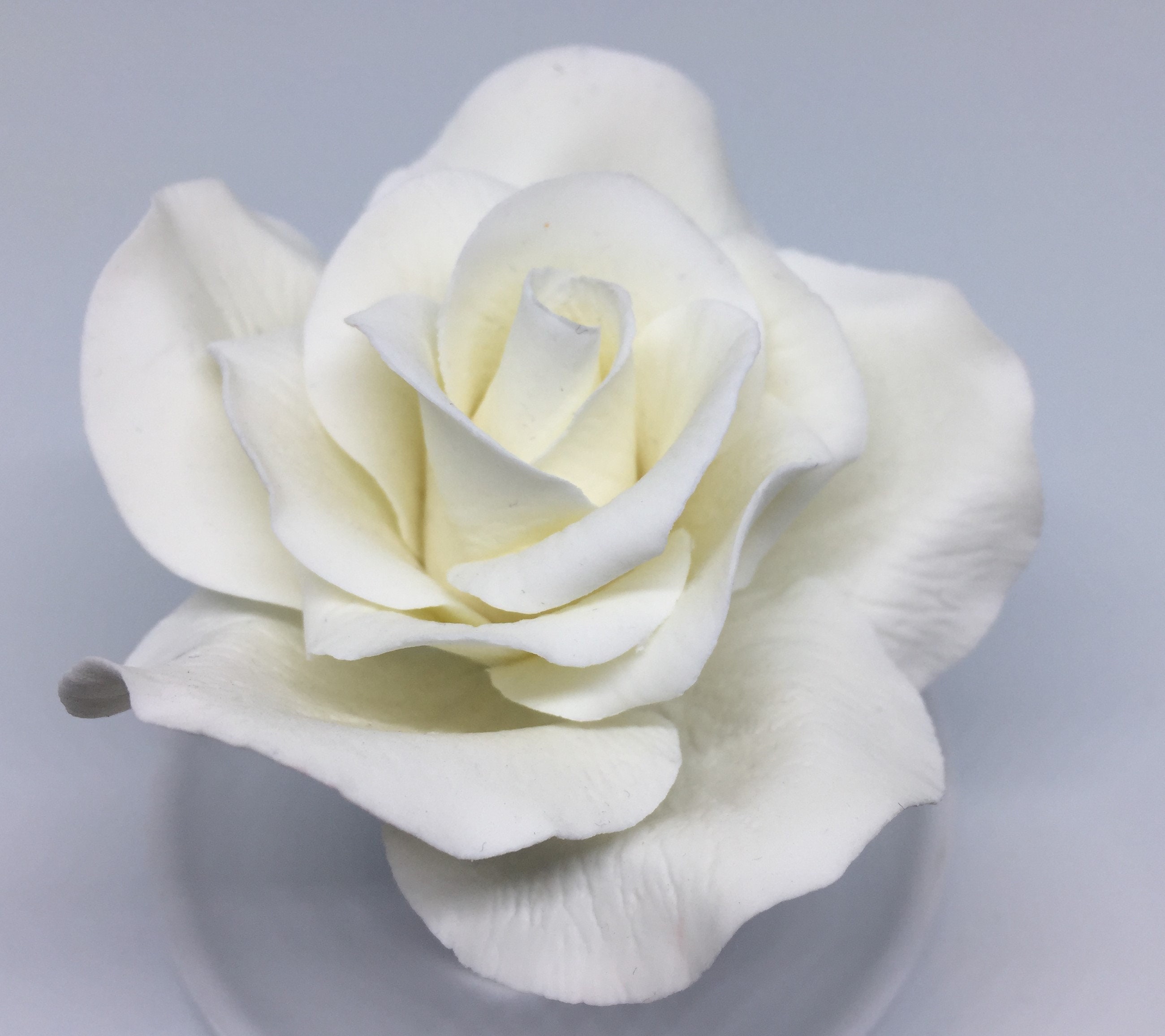 Gumpaste Rose 3.5" - Etsy