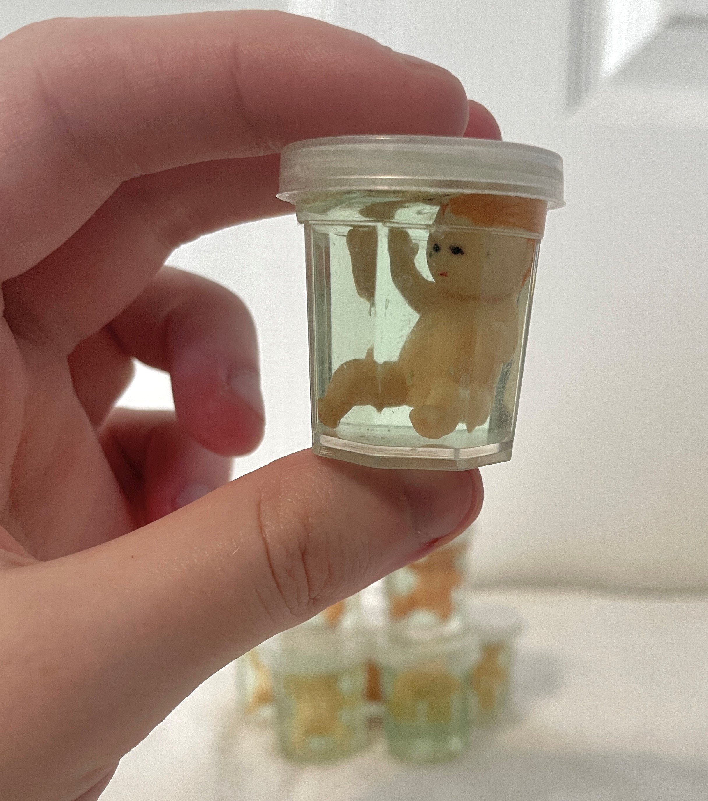 Fetus in a Jar Mini Display - Etsy