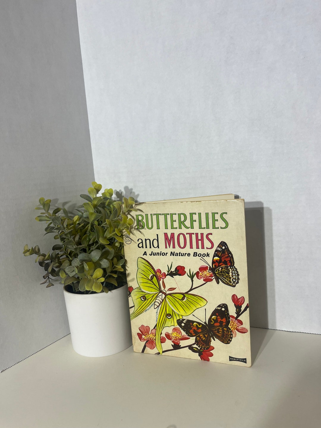 Butterflies and Moths, a Junior Nature Book by Ray W. Pearson ...