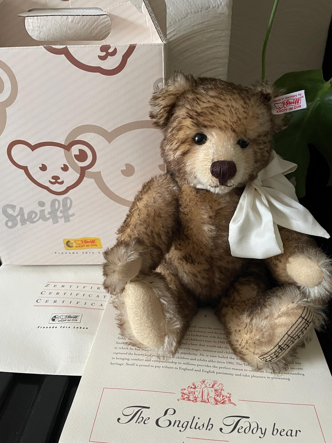 Steiff Musical Bear "the English Bear" Brown Tipped 30cm Bear. White ...
