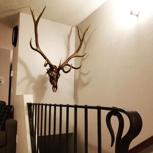 Bull Bracket by Skull Bracket, World's Strongest Skull Hanger for Big ...