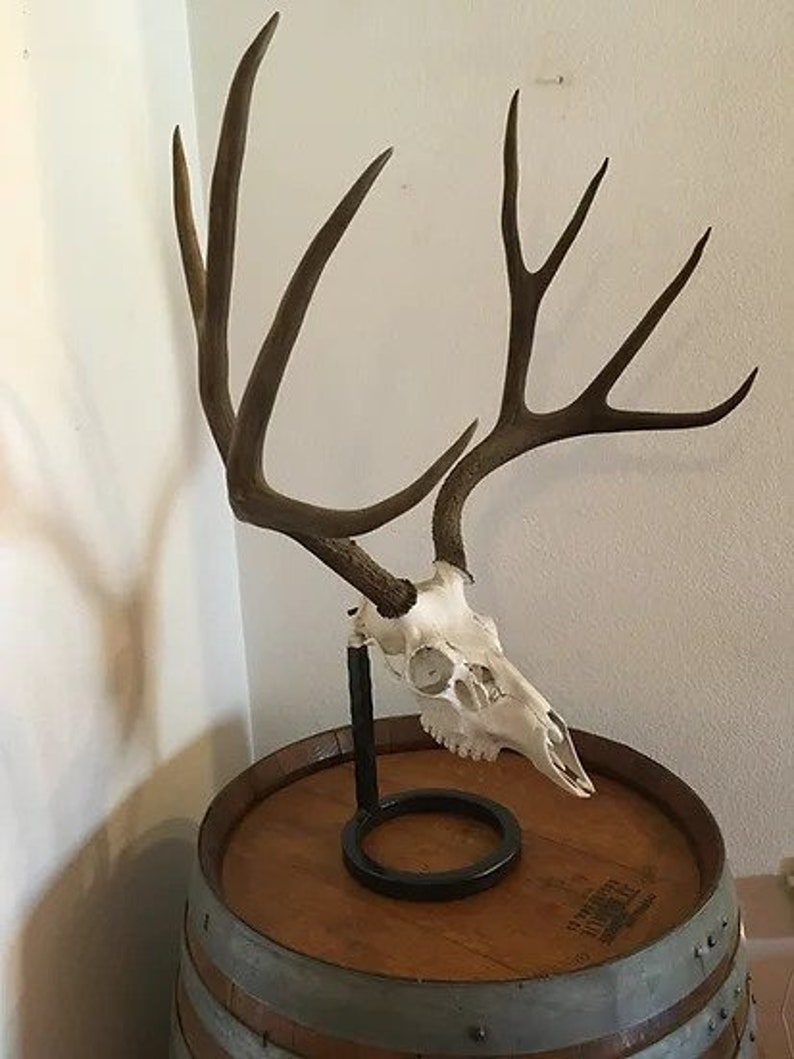 Table Bracket Skull Mount - Etsy