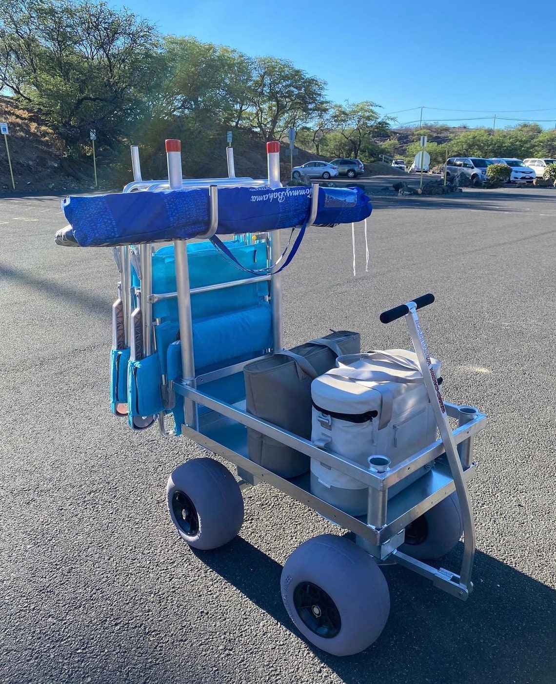 Calypso Cruiser Beach Wagon - Etsy