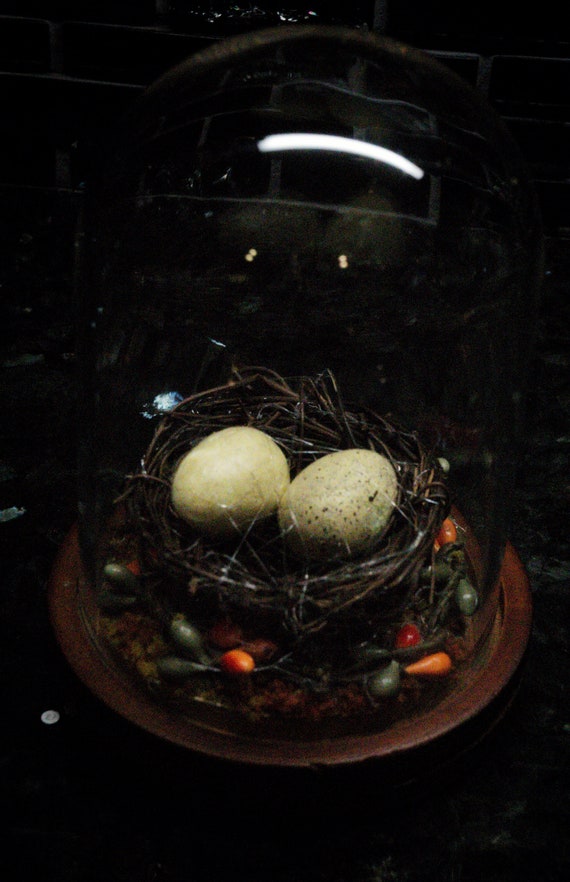 Nestled in Fall Dome Set Bird's Nest with Autumn Berries | Etsy