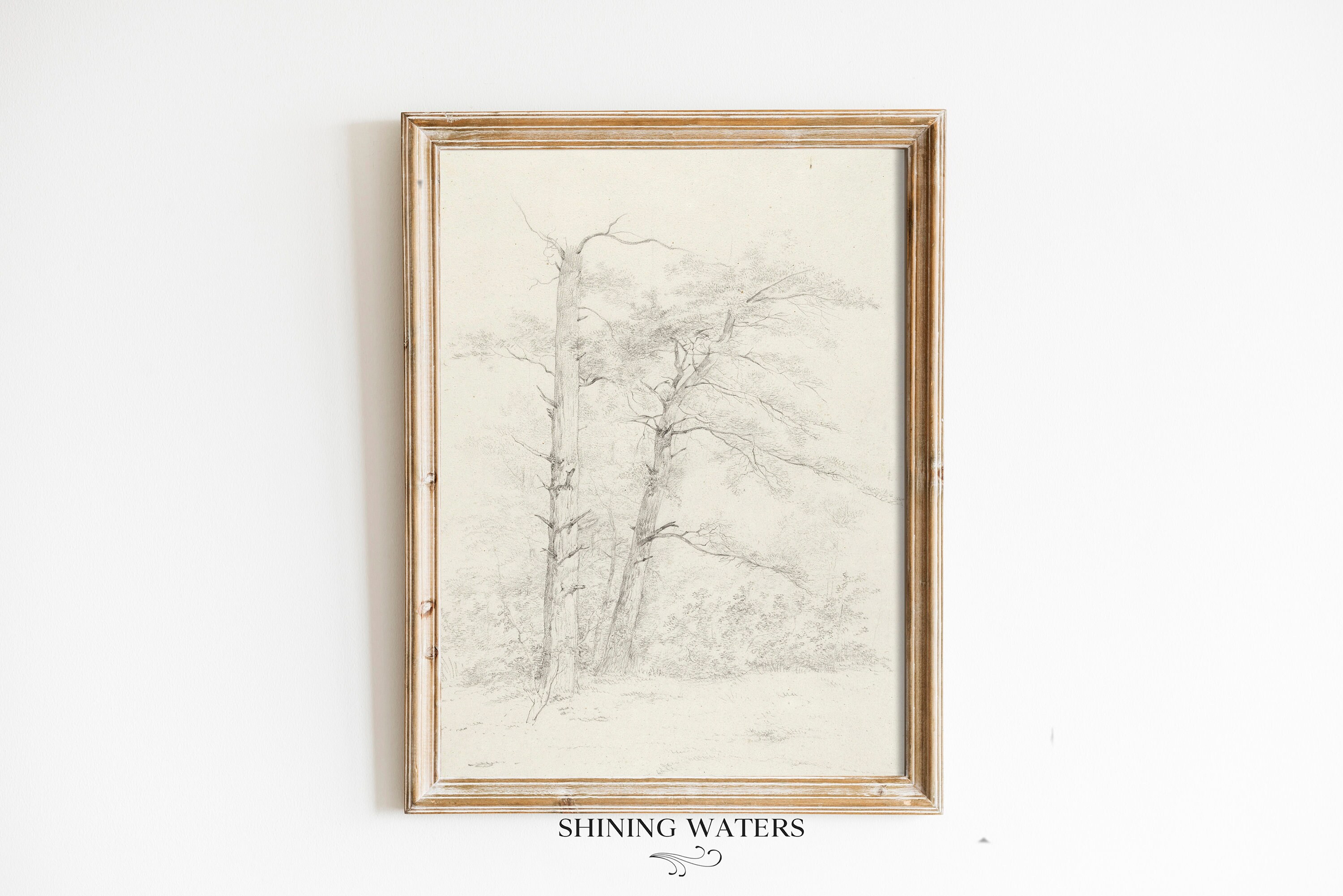 Moody Classical Printable Wall Art Gallery Set of 6 Instant - Etsy