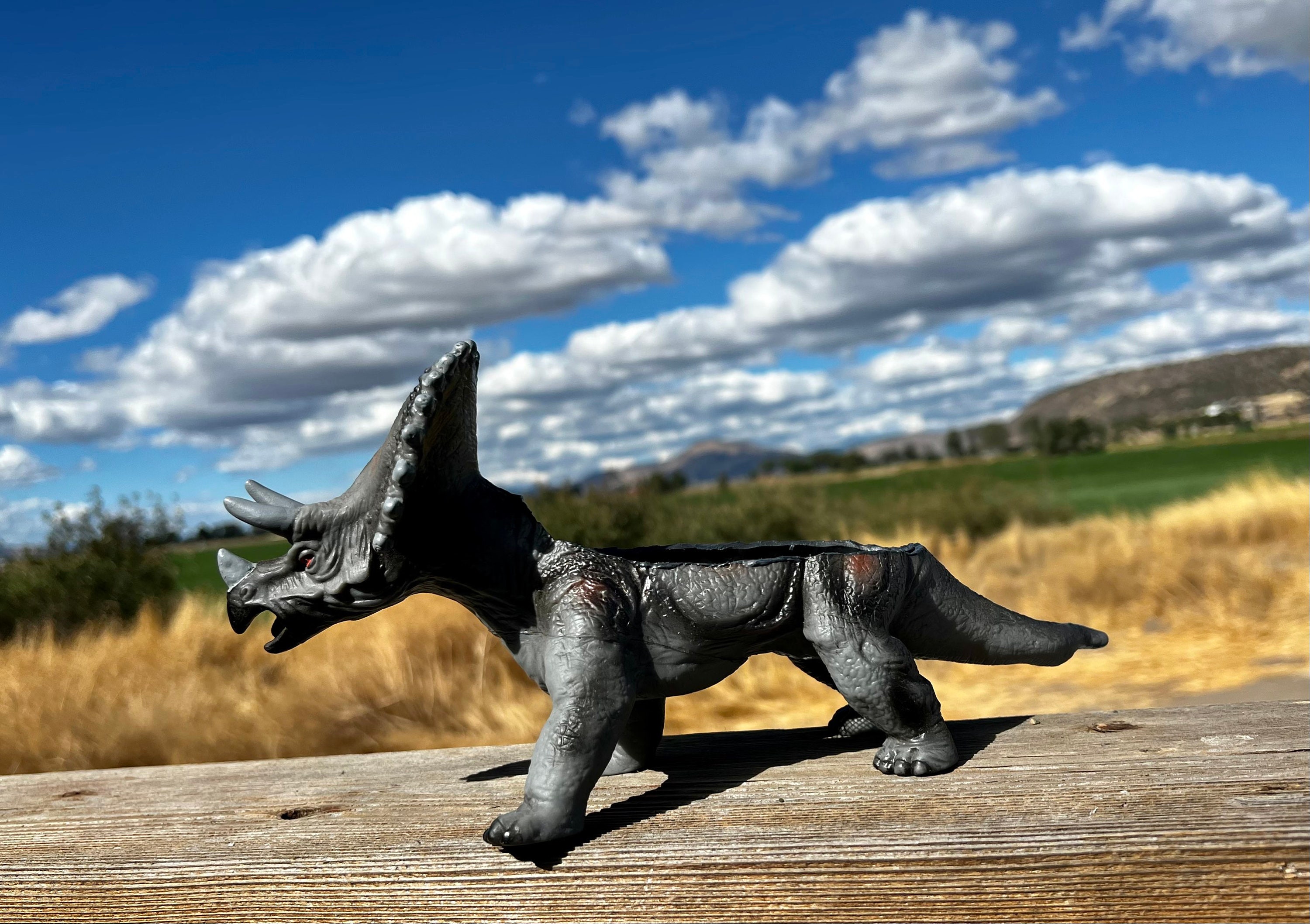 Large Dinosaur Plant Pot TANK the Triceratops - Etsy