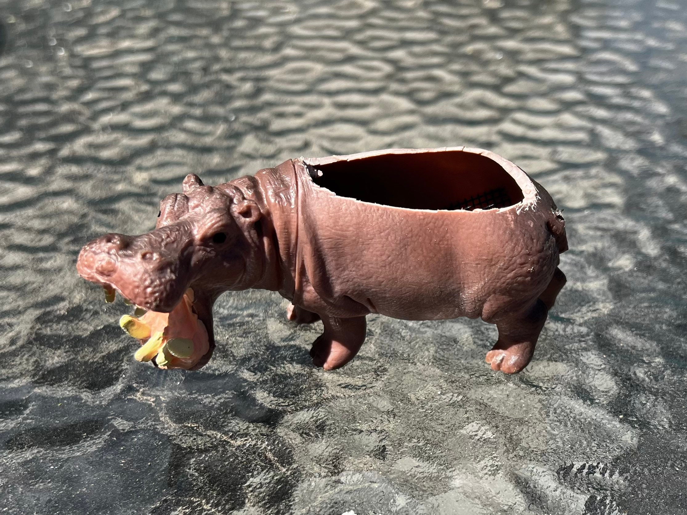 Hippopotamus Plant Pot HERCULES - Etsy