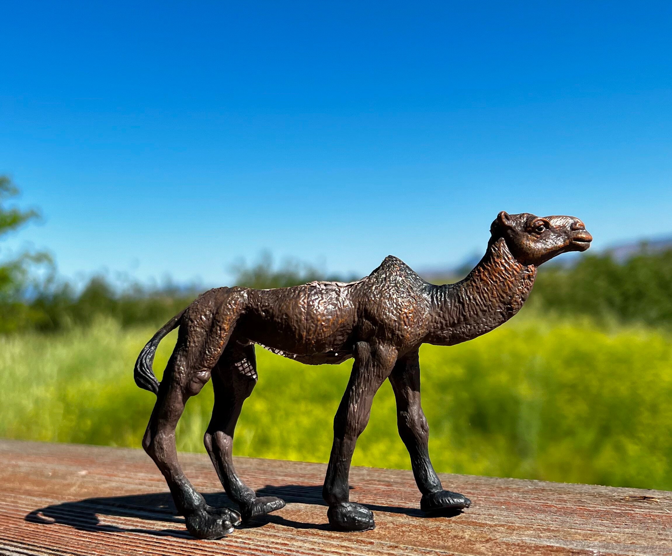 Camel Plant Pot CARMEL - Etsy