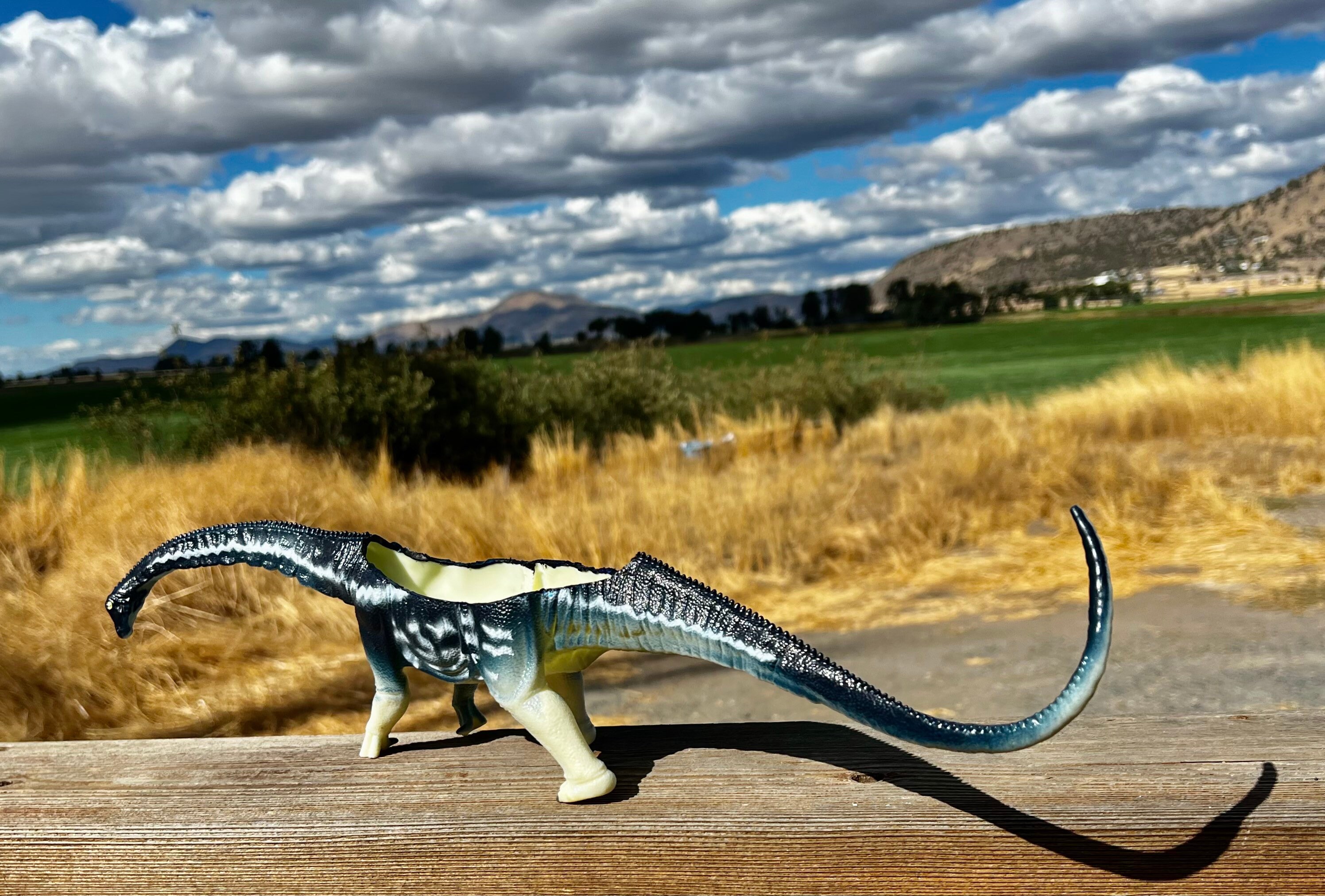 Large Dinosaur Plant Pot DIMITRI the Diplodocus - Etsy