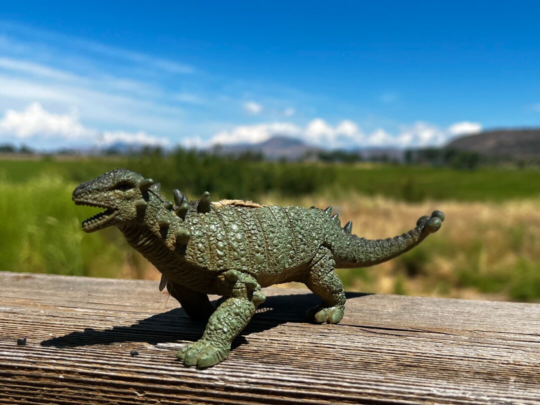 Dinosaur Plant Pot PETE the Pinacosaurus - Etsy UK