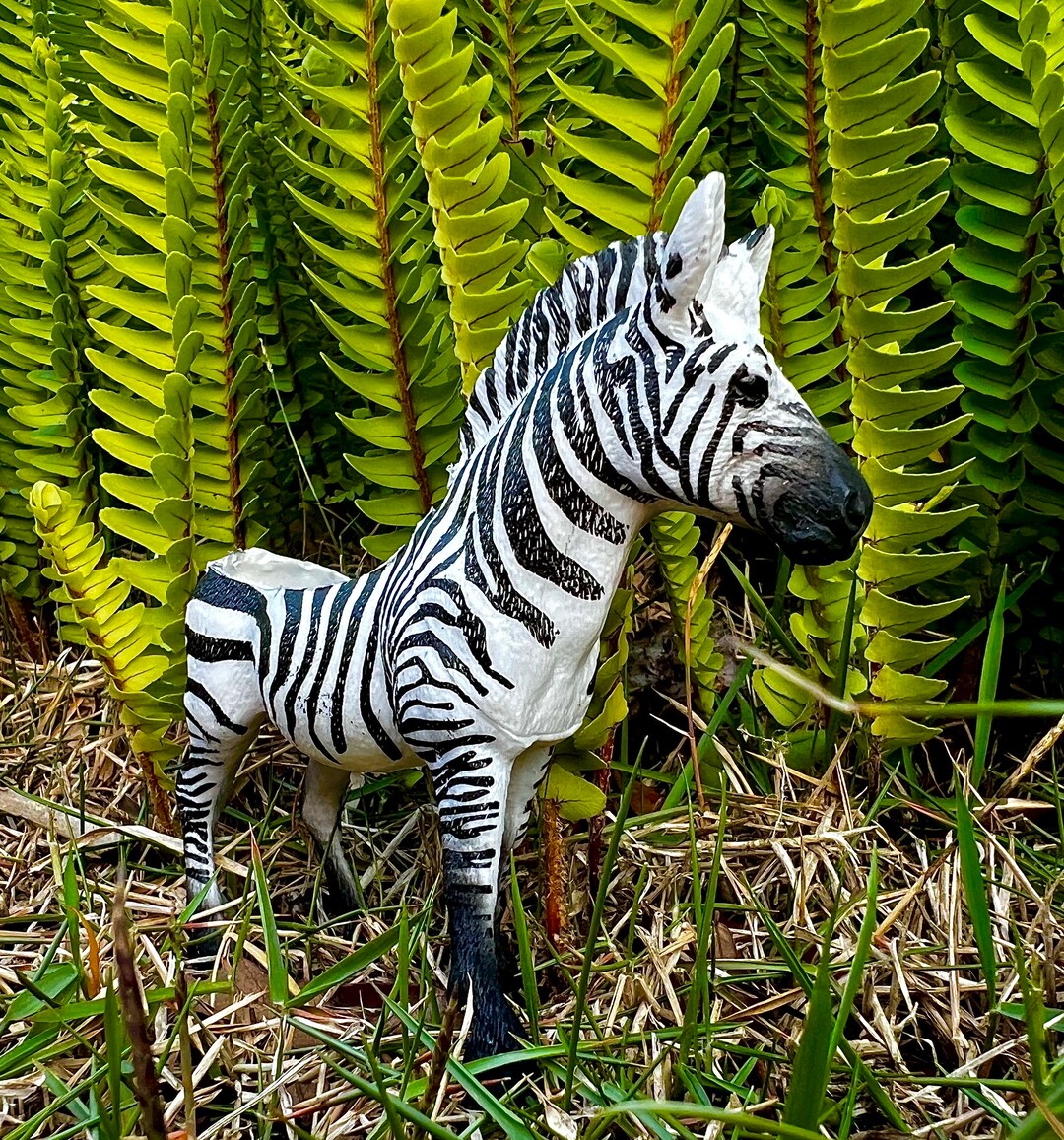 Zebra Plant Pot | ZED - Etsy